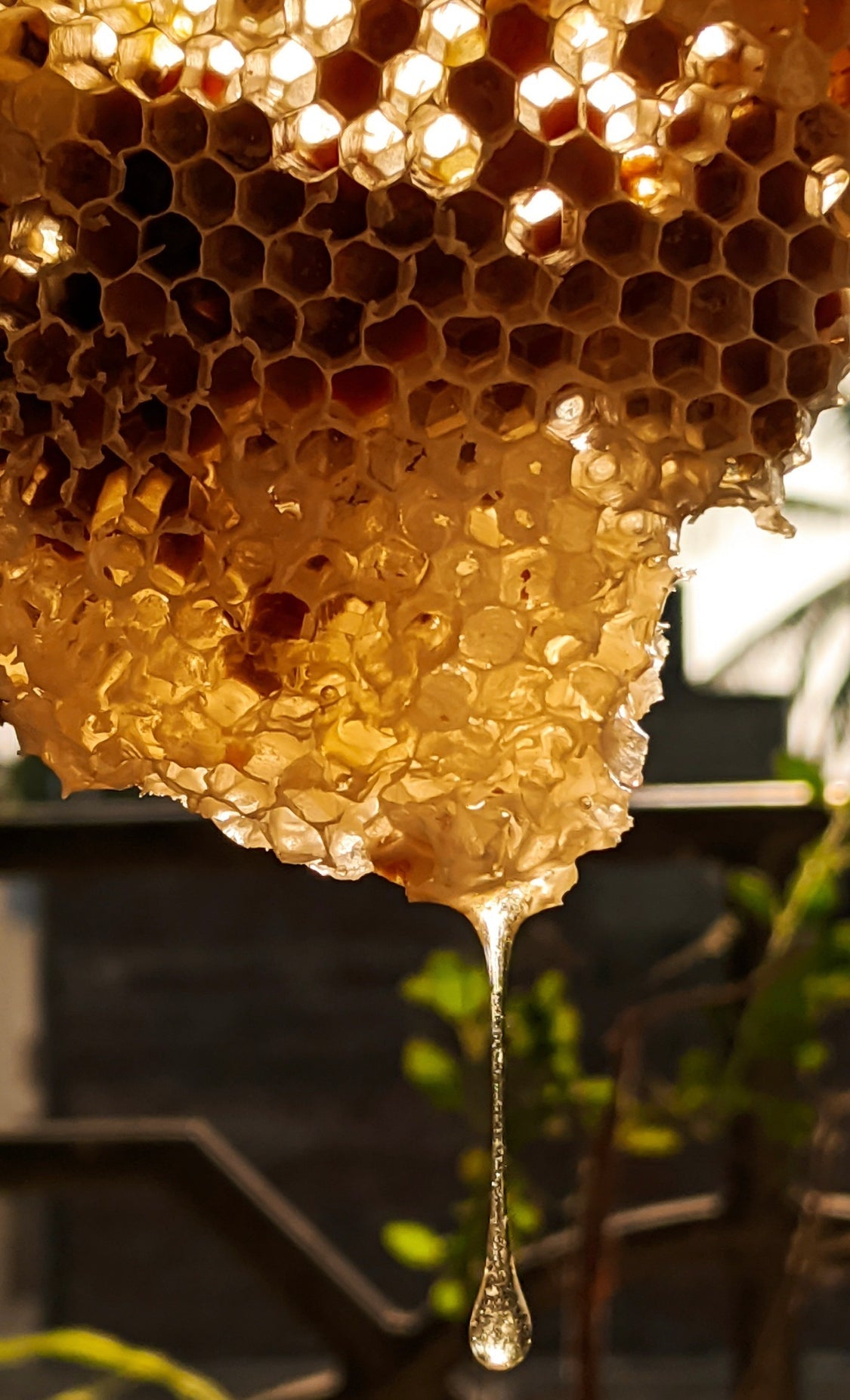 Naturgesunde Verführung – MIROMI - Swiss Essentials GmbH